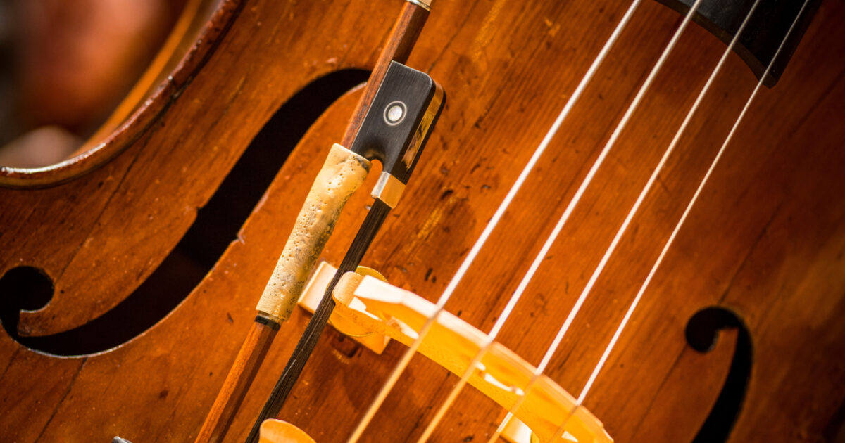 BSO | Meet the Instruments