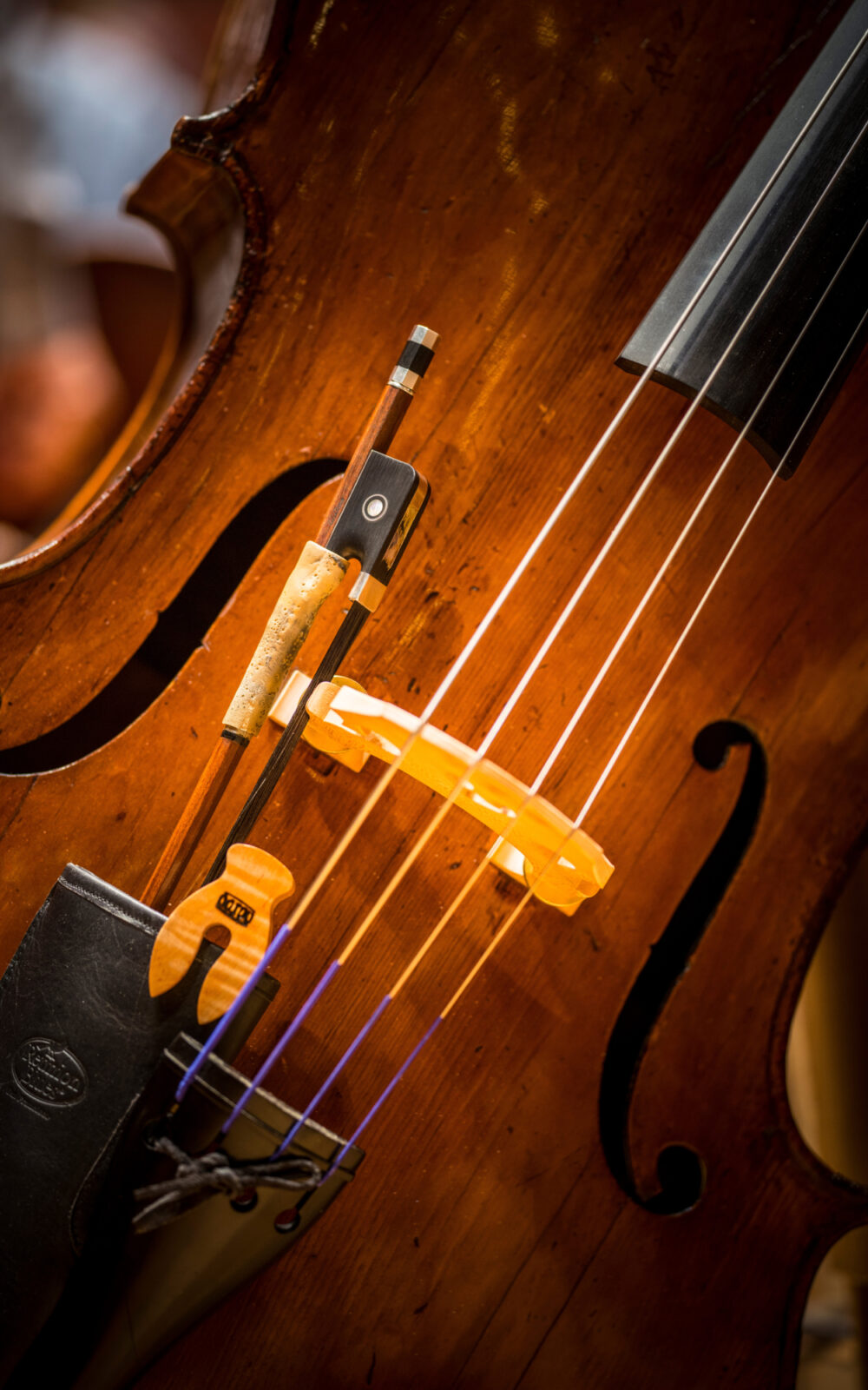 Boston Symphony Orchestra | BSO