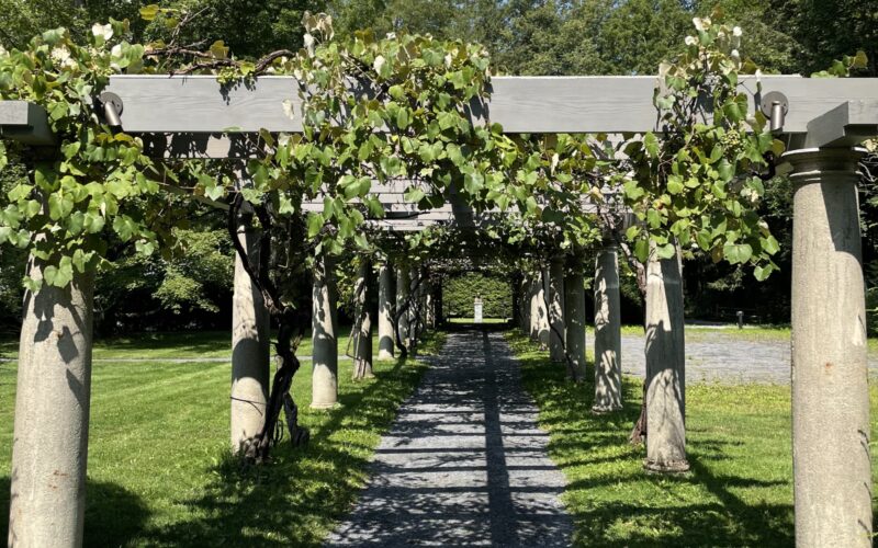 BSO | The Campus | Tanglewood