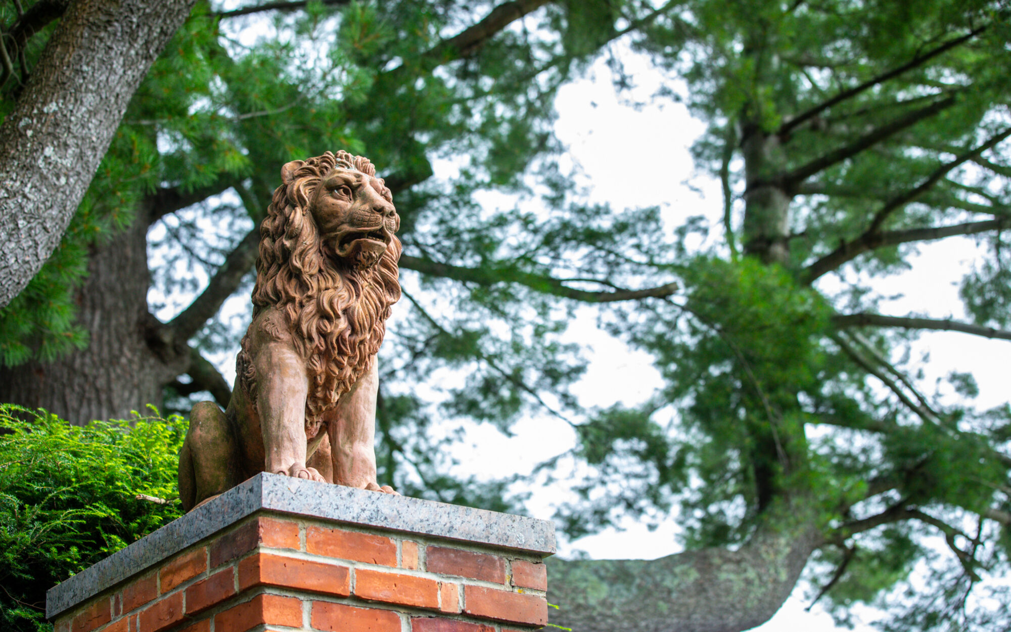 BSO | 2022 Tanglewood Season | Tanglewood