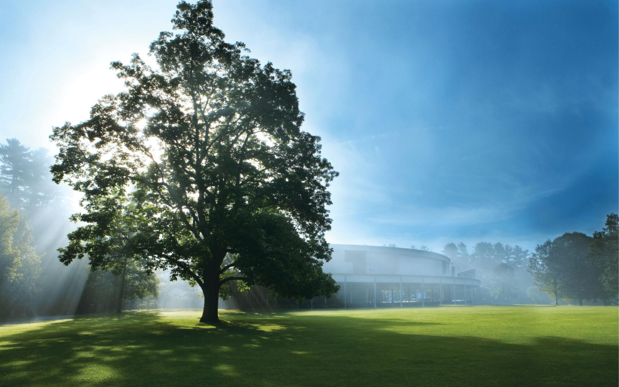 BSO | Tanglewood Events | Tanglewood