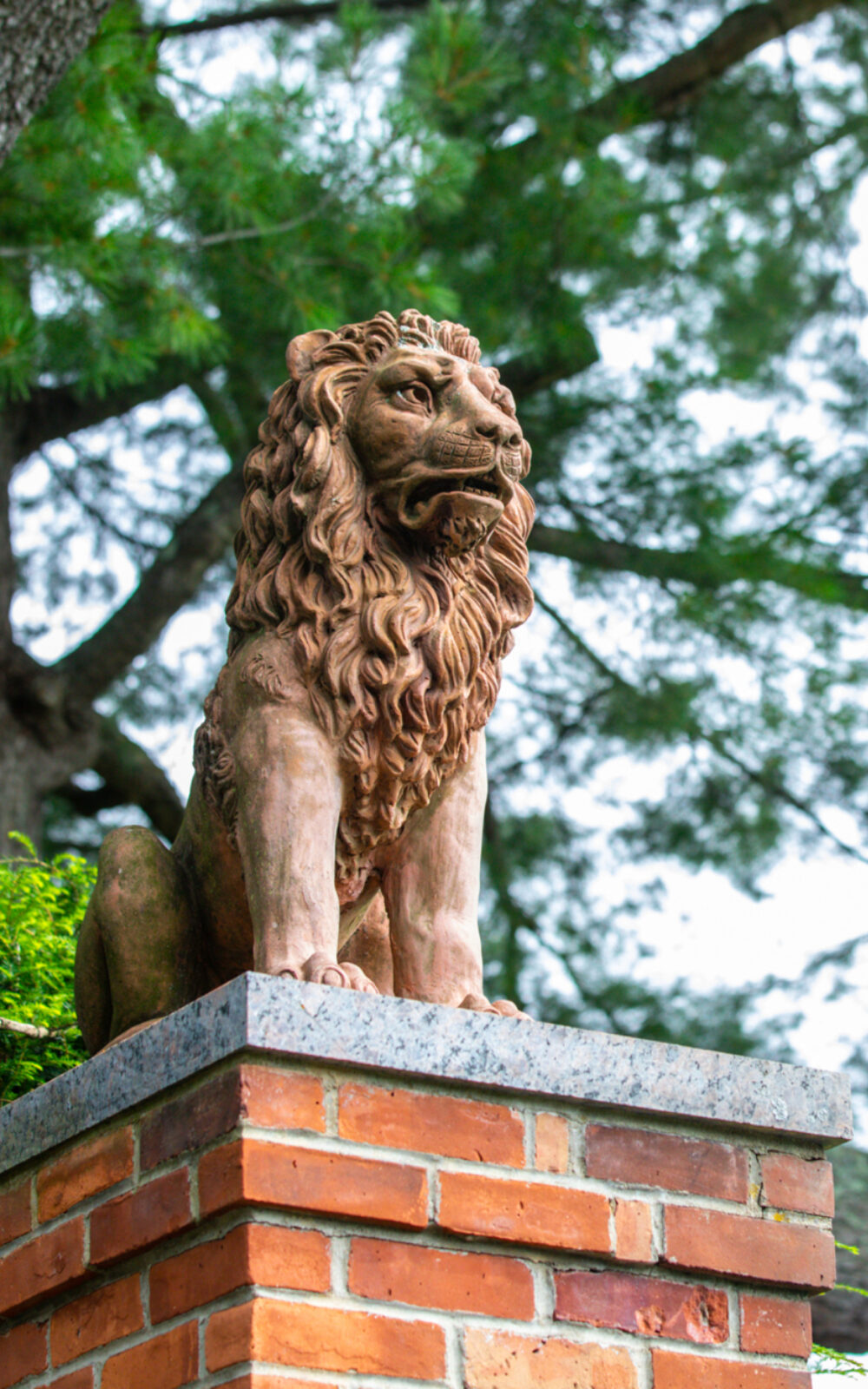 BSO | 2022 Tanglewood Season | Tanglewood