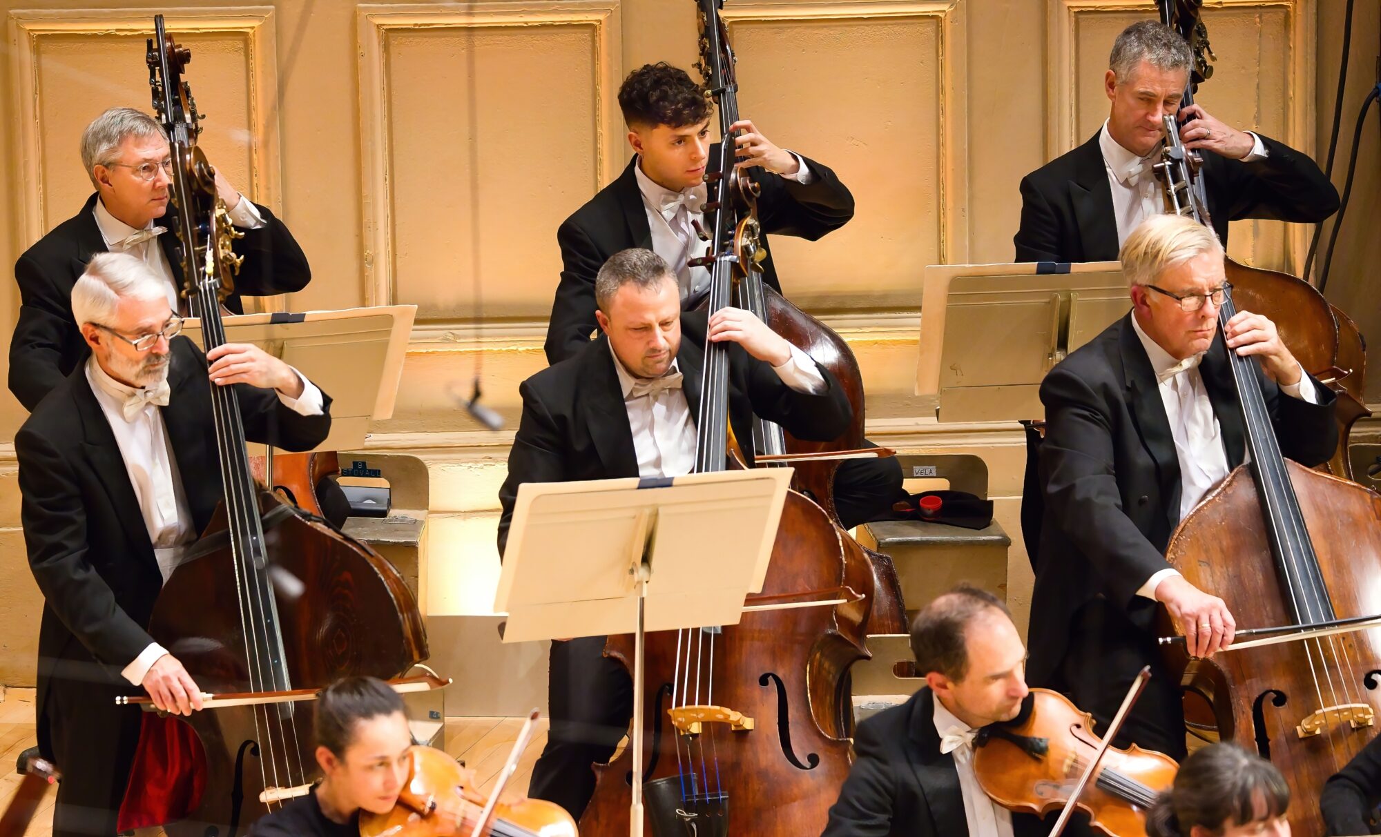 BSO | Resident Fellowship Program