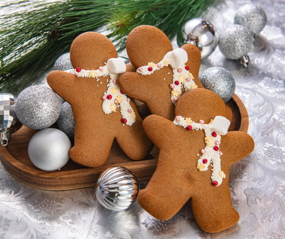 BSO | 2024 Holiday Pops Concerts