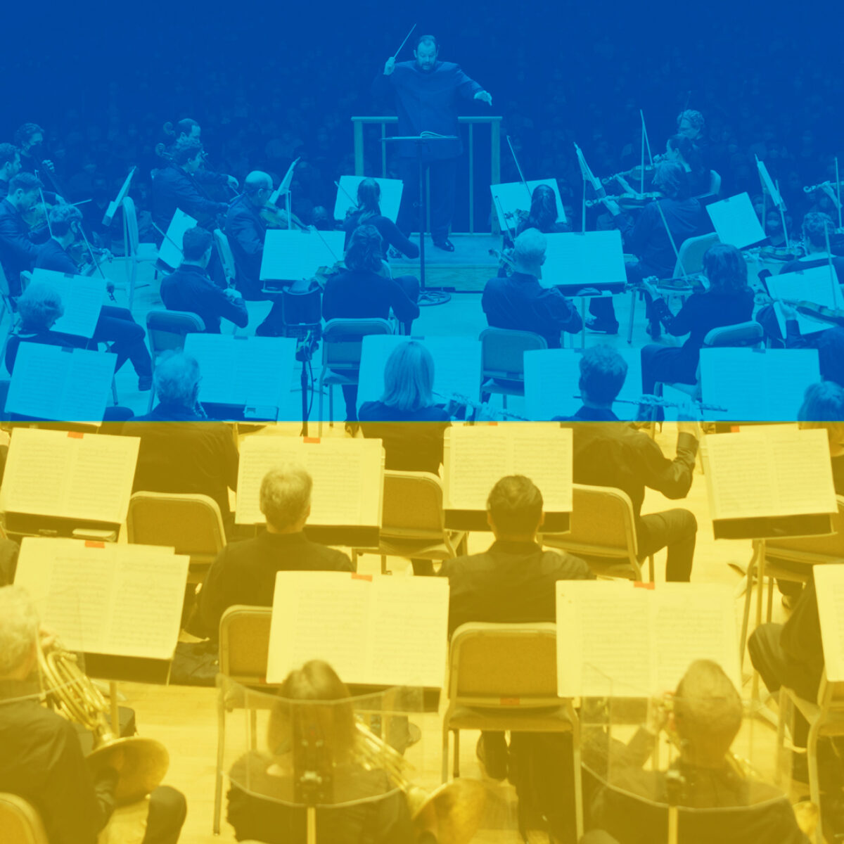 Boston Symphony Orchestra | BSO